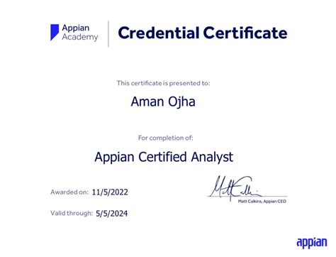Aman Ojha On Linkedin Appian Businessanalyst Itconsulting