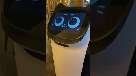 Robot Waiters At Bella Italia Center Parcs Whinfell Forest Go It