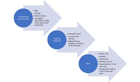 Variables Collected Included Predisposing Factors Enabling Factors
