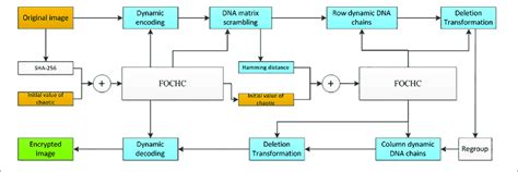 The Flowchart Of The Proposed Algorithm Yellow Blocks Are The Input
