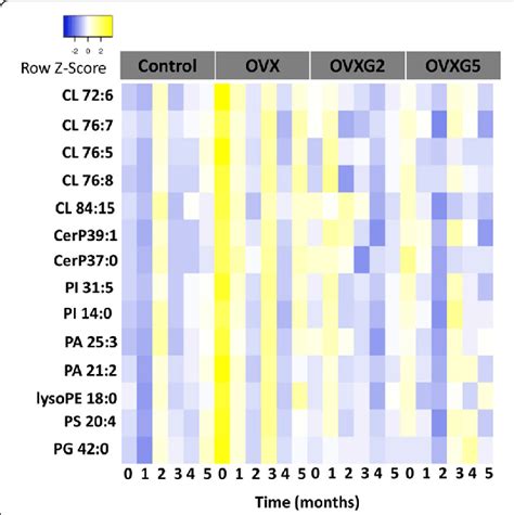 Heatmap Showing The Longitudinal Response For Each Lipid In The Download Scientific Diagram