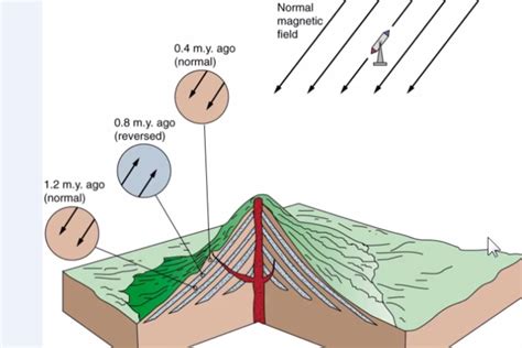 Silicate Definition Structure Classification Examples Uses And Faqs Of Silicate Artofit