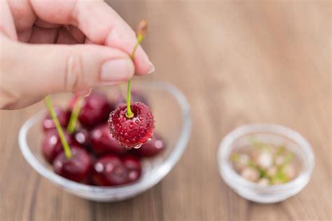 손 잡고 젖은 달콤한 체리의 세부 사항입니다 녹색 줄기입니다 벚나무 Avium 0명에 대한 스톡 사진 및 기타 이미지 0명 갈색 개체 그룹 Istock