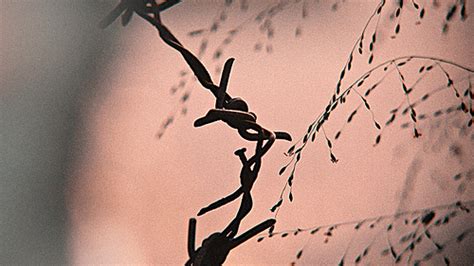 Tech Transformation Minding The Gap Correlation Or Causal Factor