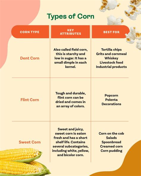 Not All Corn Is The Same — Learn About The 3 Main Types With Our Handy