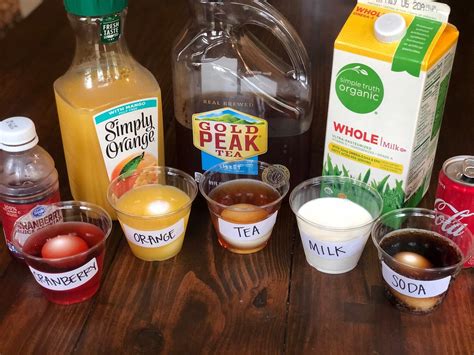 An Egg Cellent Experiment Artofit