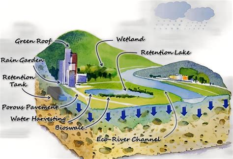Adapting Chinas Sponge City Model To Karachi Challenges And Opportunities For Urban Flood