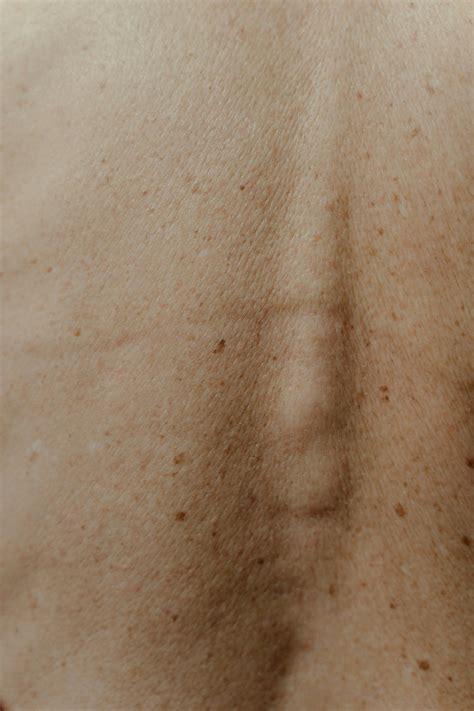 Cute Tan Lines Photos Download The Best Free Cute Tan Lines Stock