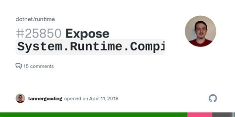 Expose System Runtime Compilerservices Skiplocalsinitattribute Issue Dotnet Runtime