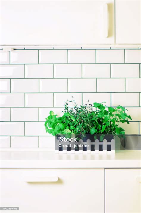 민트 타임 바 질 파 슬 리화이트 식탁 벽돌에 향기로운 유기 허브 타일 배경 요리 향신료 식물 화분 최소한의 라이프 스타일
