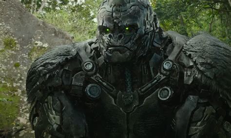 Transformers Orden Cronológico De Todas Las Películas De Acción Real