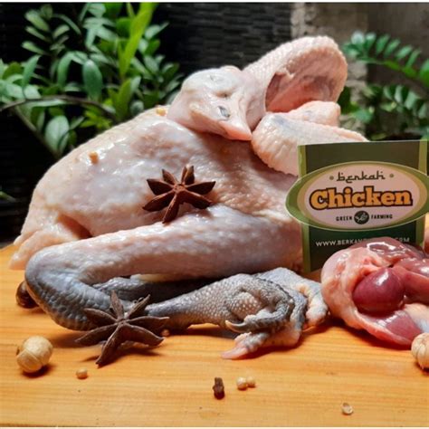 Jual Ayam Kampung Organik Frozen 07 08 Kg Berkah Chicken Shopee