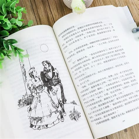 红与黑司汤达著正版原著全译本中文版无删减完整版带注释附插图红与黑书世界经典文学名著外国小说初中生高中生课外阅读书籍 虎窝淘
