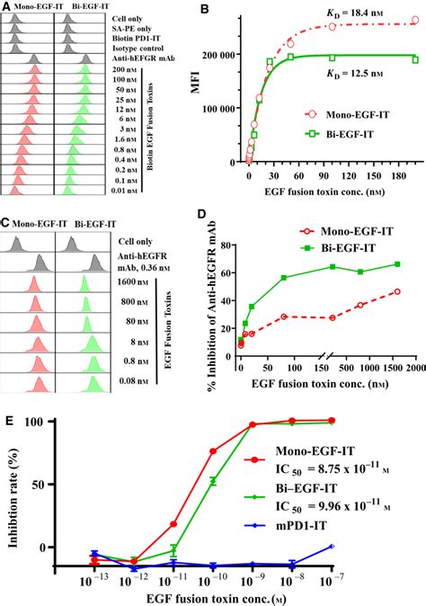 In Vitro Binding Affinity And Efficacy Analysis Of The Mono‐egf‐it And