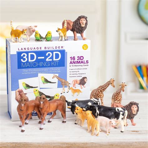 Card 3d 2d Matching Kit