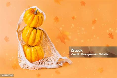 호박의 구성 행복한 추수 감사절야채 가을 음식 개념 가을 할로윈 호박오렌지 배경에 직물의 메쉬 가방에 호박의 다른 종류 가을 개념 공간을 복사합니다 0명에 대한 스톡 사진