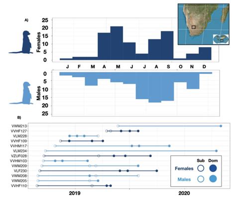 Sampling Strategy A Sampling By Calendar Month Across The Study