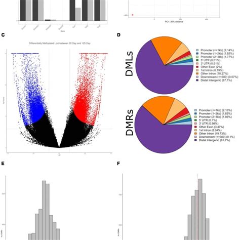 Characterization Of Dna Methylation A A Barplot Of Dnmt And Tet Download Scientific Diagram