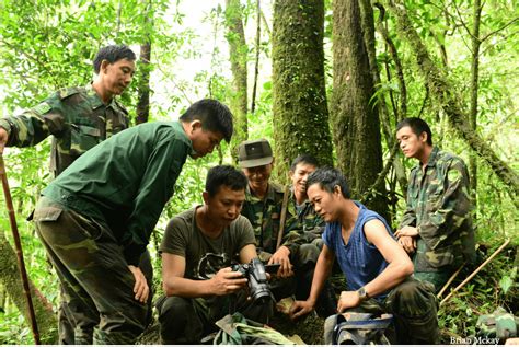 Spatial Monitoring And Reporting Tool Smart Impact And Learning Intern Wildlabs