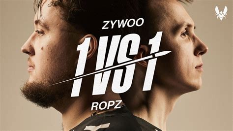 Vitality CS V 蜜蜂双子星的史诗对决 VITALITY电子竞技俱乐部 VITALITY电子竞技俱乐部 哔哩哔哩视频