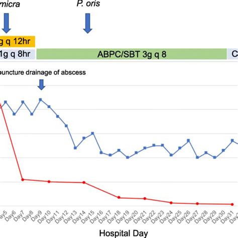 Clinical Course Until Day 35 Vcm Vancomycin Mepm Meropenem Abpc Download Scientific Diagram