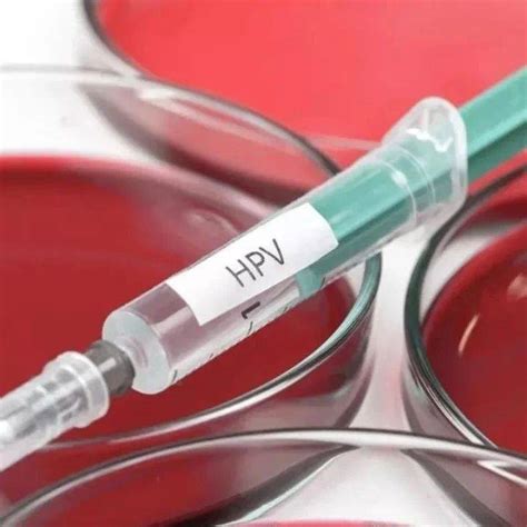 男性可接种四价hpv疫苗了！男性为何要接种？能防哪些癌？速看！女性病毒疾病
