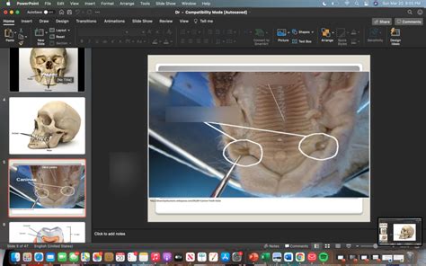 Diagram Diagram Quizlet
