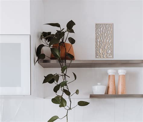 Wooden Tree Branch Lattice Trellis Mandala Wall Art For Etsy