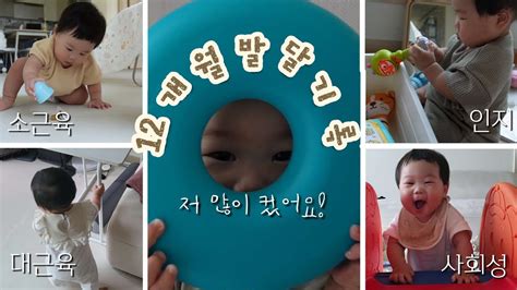12개월 발달기록📝 대근육💪 소근육🤏 사회성 인지 Youtube