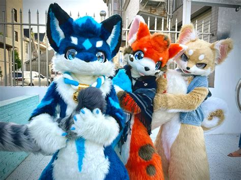 杂图系列（兽人furry第七十二弹）＃128 哔哩哔哩
