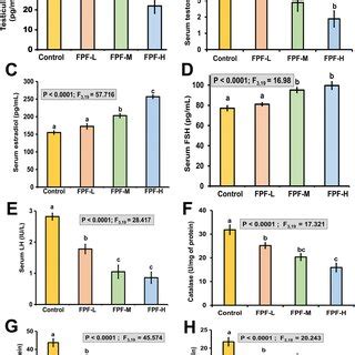 Assessment Of Sex Hormones And Antioxidant Enzyme Levels In The Serum Download Scientific