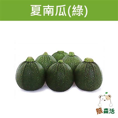 ～全館滿790免運～綠球櫛瓜夏南瓜種子 Summer Squash 節瓜 約10粒【熊森活】 Yahoo奇摩拍賣