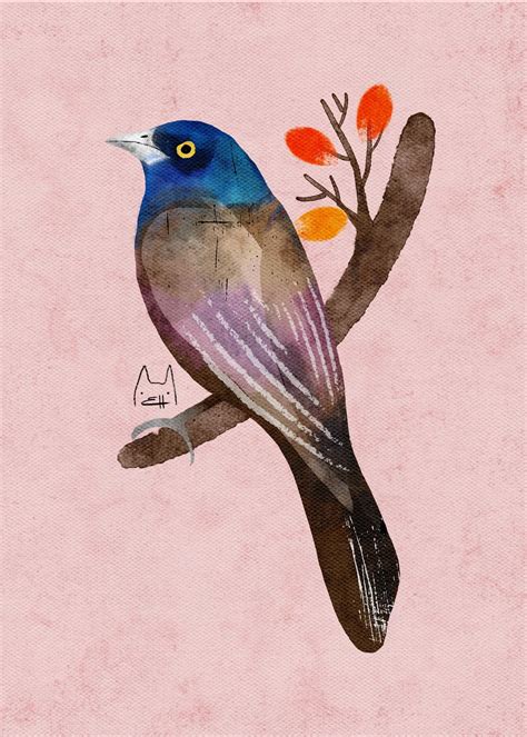 Common Grackle Postcard Set Colorful Teal Bird Postcards Penpal