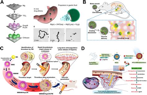 Mnms For Targeted Cargo Delivery A Drug Loaded Mg Based Micromotors Download Scientific