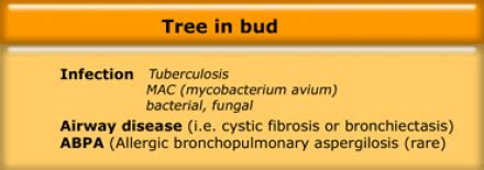 Chest Medicine Made Easy Dr Deepu BASICS OF HRCT INTERPRETATION PART 3 NODULAR PATTERN