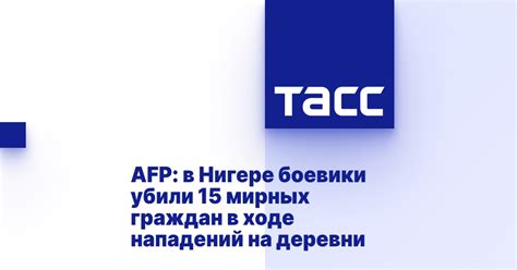 Afp в Нигере боевики убили 15 мирных граждан в ходе нападений на деревни