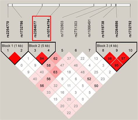 Ld Blocks Of The 10 Snps In Dtx1 Download Scientific Diagram