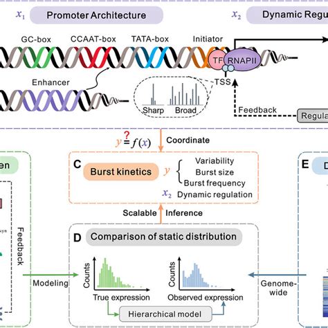 Overview Of A Scalable Genome Wide Inference Method A Schematic For