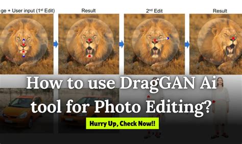 How To Use Draggan Ai Tool For Photo Editing Step By Step Guide Online Prosess