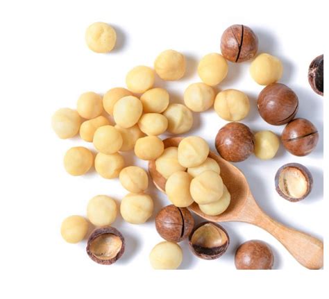 Macadamia Nuts Yapimer Global Ltd