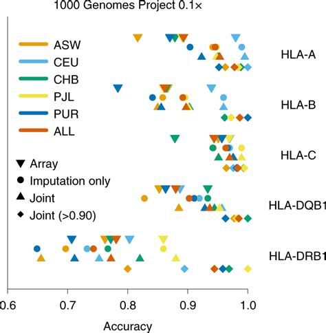 Imputation Accuracy Of Hla Loci Accuracy Is The Percentage Of Correct Download Scientific