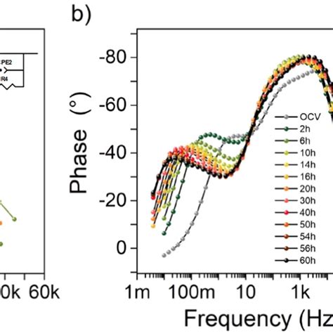 A Nyquist And B Bode Plot For Cell 1 After 5 15 30 60 120 240 Download Scientific