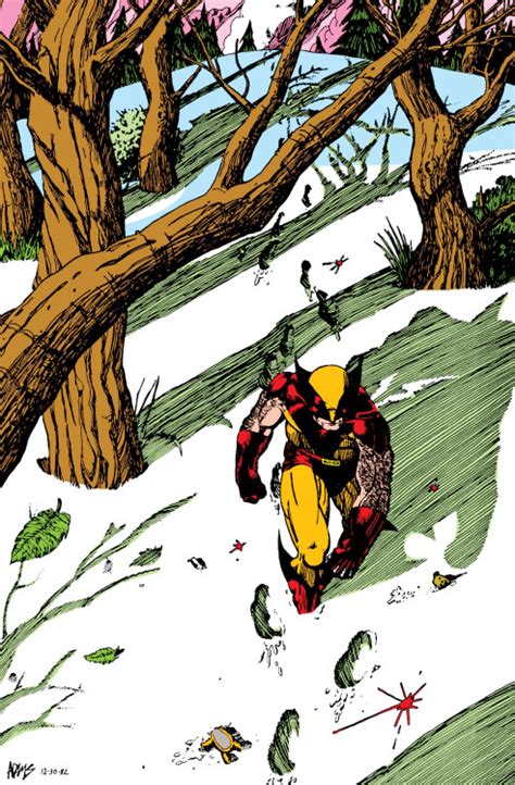 Wolverine By Arthur Adams Tumbex