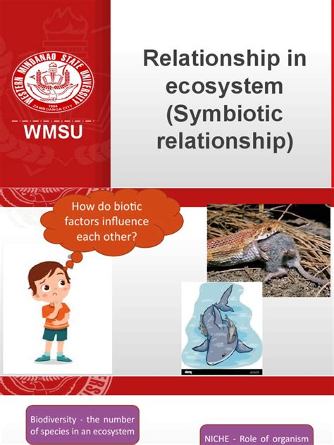 Ecosystem Relationships And Interactions Pdf Symbiosis Predation