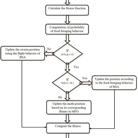 Flowchart Of The Proposed Mf Bsa Download Scientific Diagram