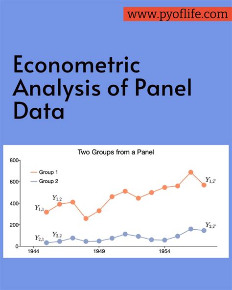 Econometric Analysis Of Panel Data