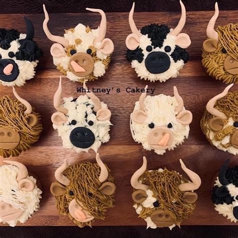 Cute Highland Cow Cupcakes Decorating Artofit
