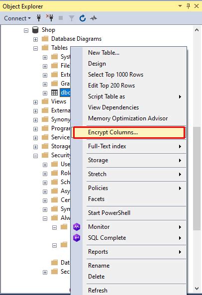 column level sql server encryption example using sql complete devart blog
