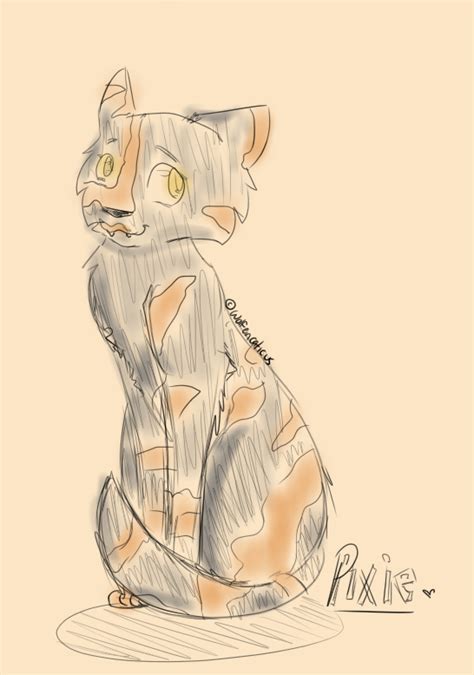 Pixie Sketch Commission By Wolfencaticus On Deviantart