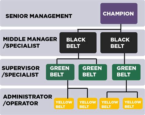Six Sigma Six Sigma Consulting Six Sigma Training Lean Ireland